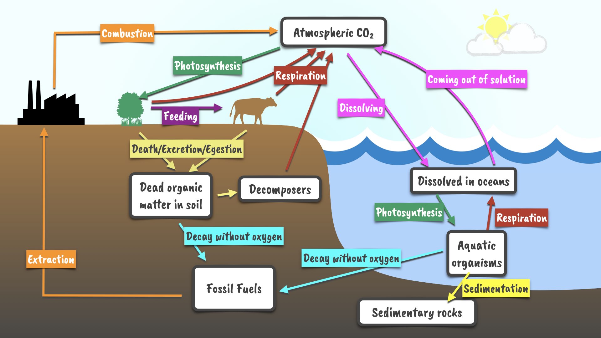 2 3 Flows Of Energy And Matter ESS By Science Sauce