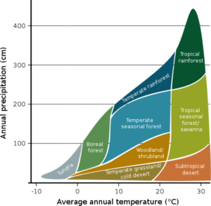 2.4 Biomes, Zonation and Succession | ESS by Science Sauce
