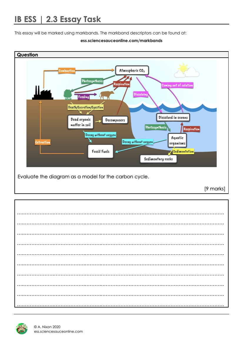 2.3 Flows of Energy and Matter | IB ESS by Science Sauce