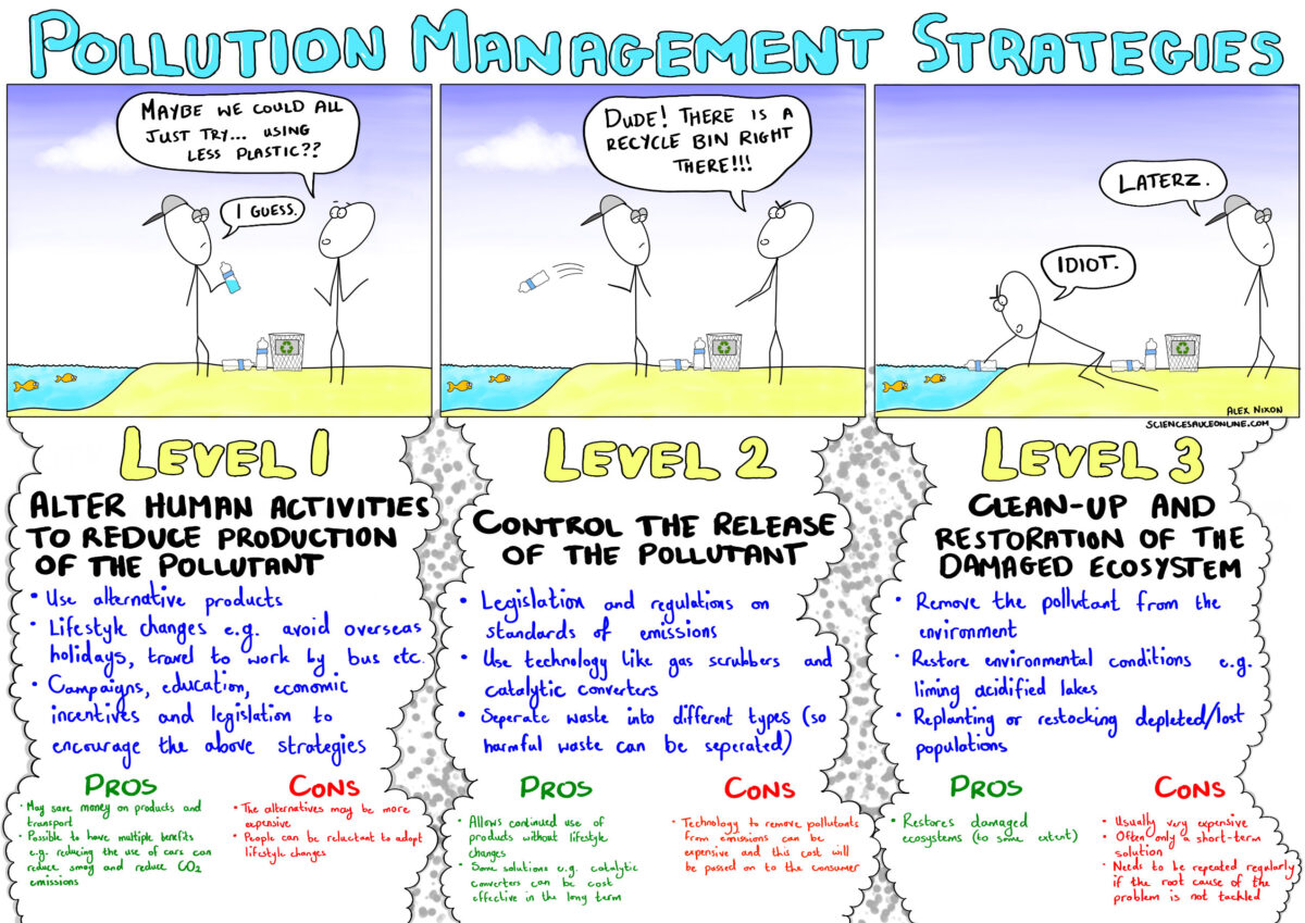 Pollution Management Strategies Poster | IB ESS by Science Sauce